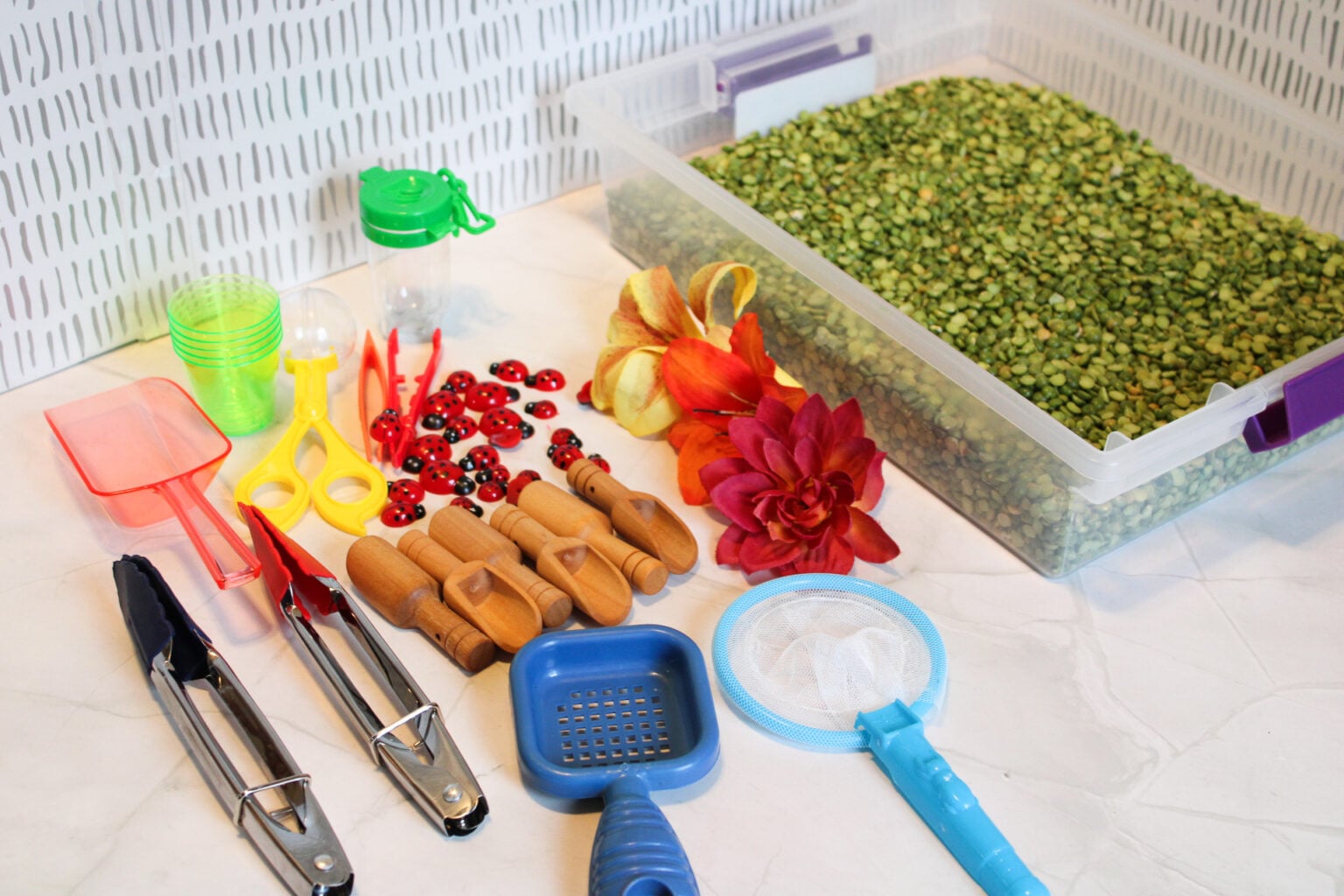 Ladybug Sensory Bin for Preschool Bug & Spring Play