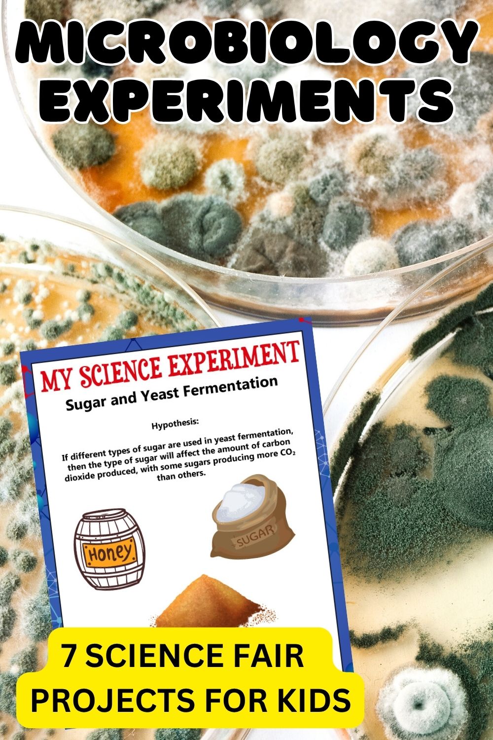 Microbiology Science Fair Experiments (Grades 4-8)