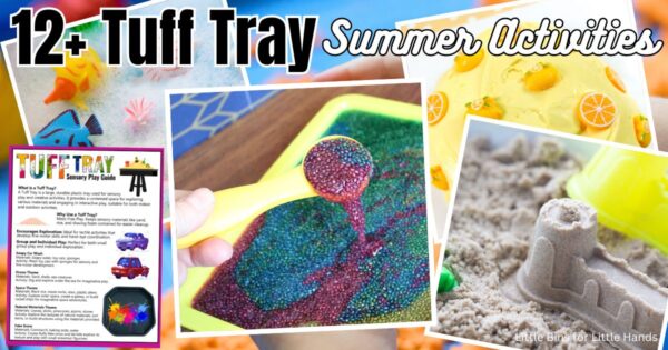 12 Summer Tuff Tray Sensory Play Ideas for Kids
