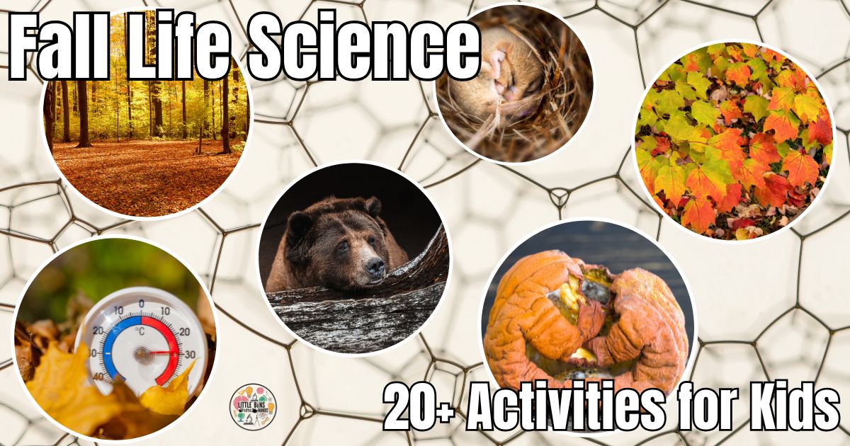 Fall Life Science Activities for Kids | Fun Biology Projects