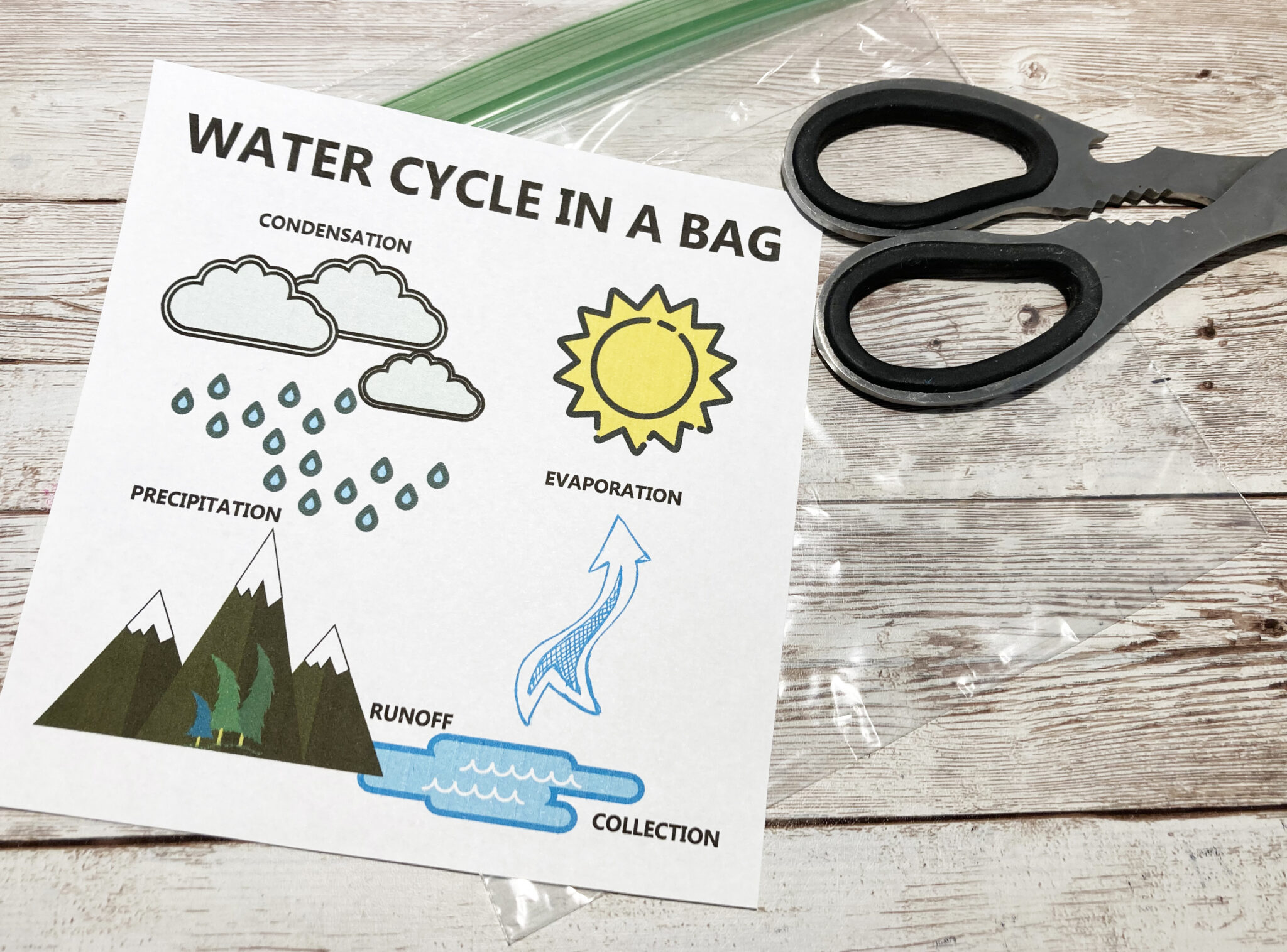 Cycles of Matter for Kids | 9 Fun Science Activities
