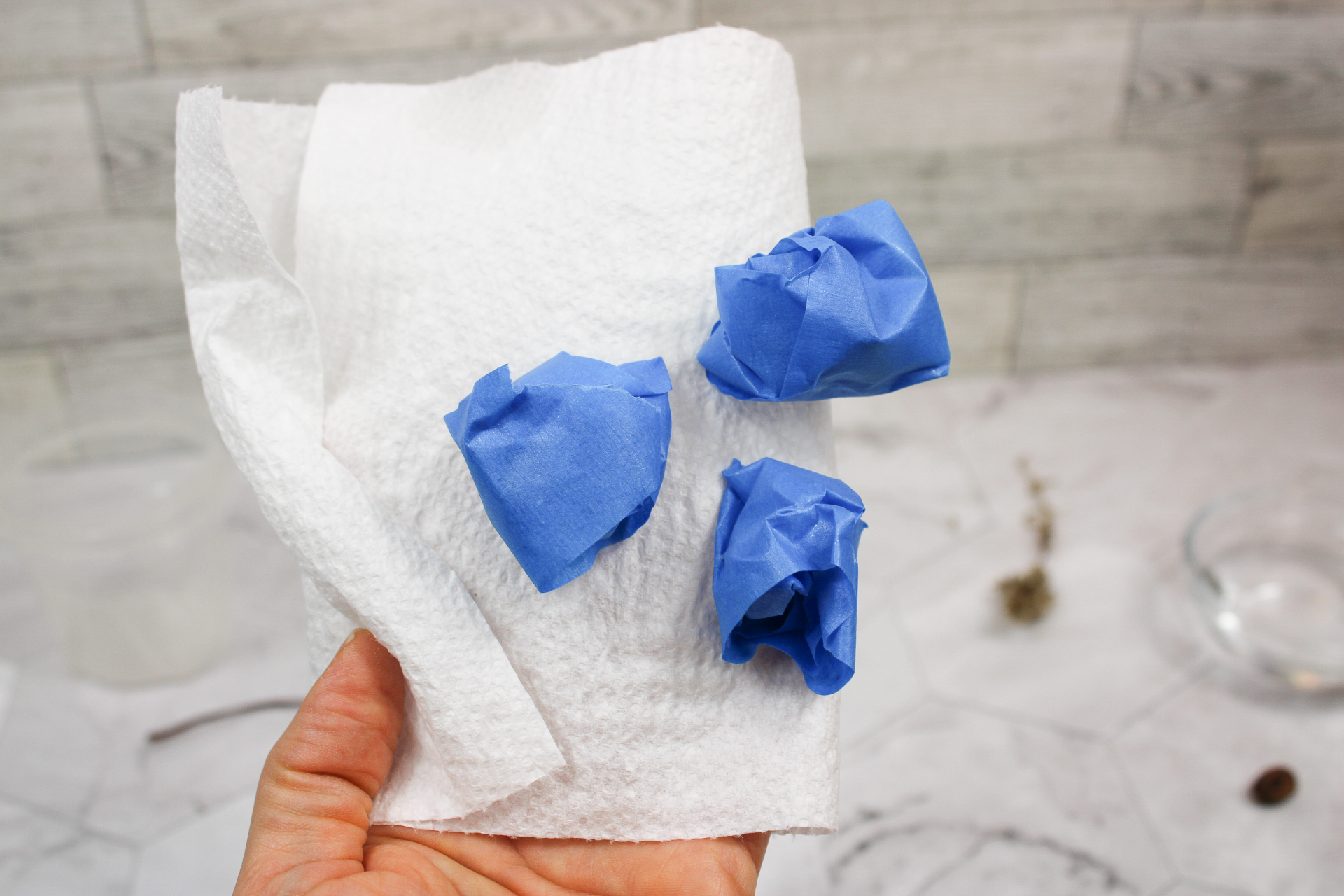 Seed Dispersal Experiment for Kids | Learn How Seeds Travel