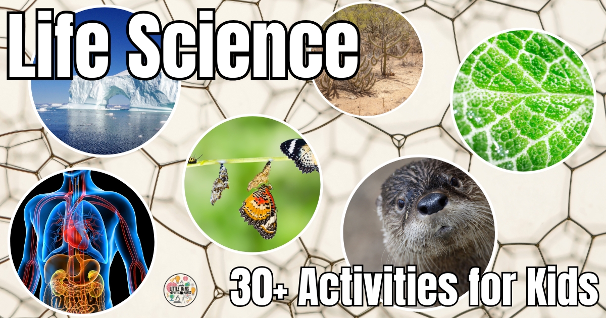 Fun Life Science Activities for Kids | K–5 Biology Projects