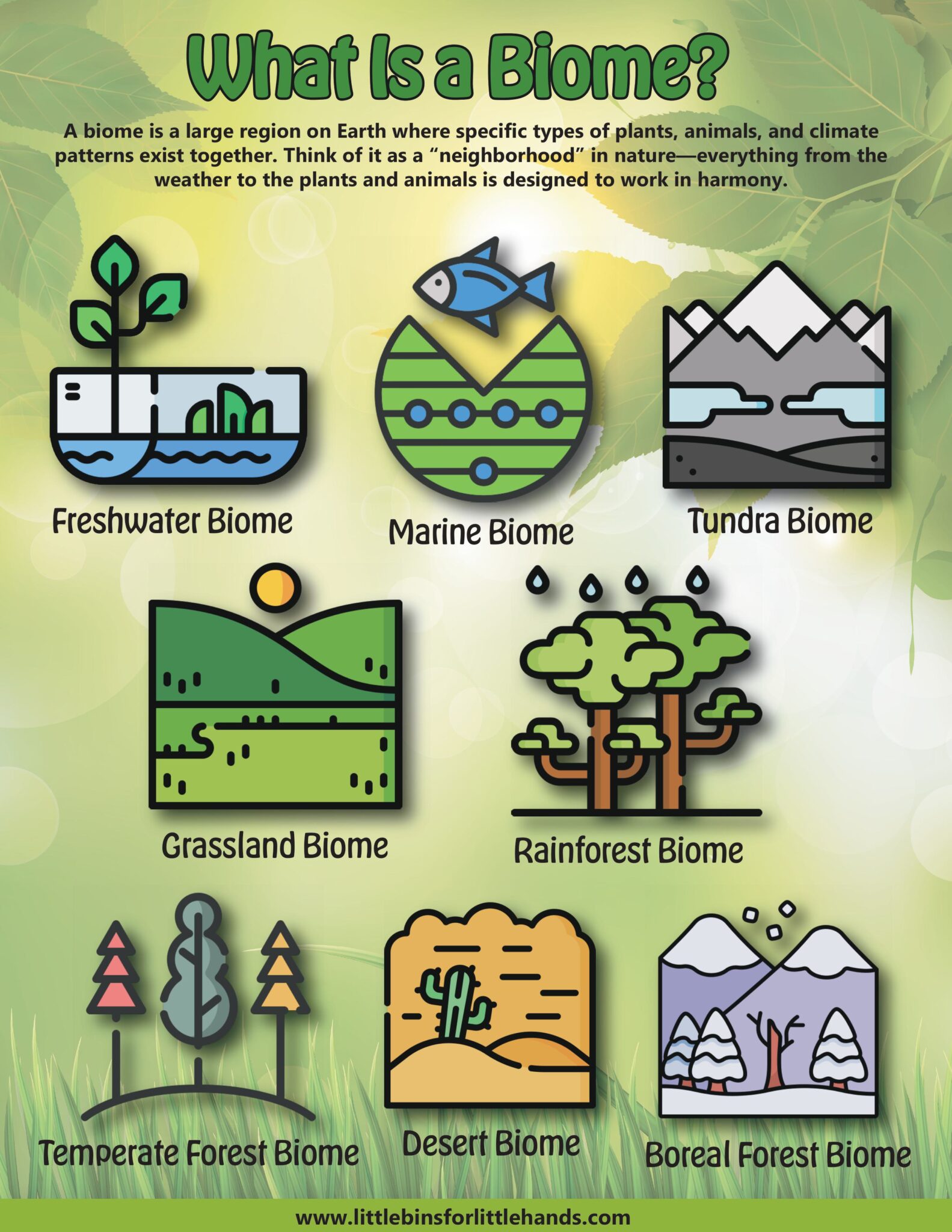 Biomes for Kids: Worksheets & Fun Activities