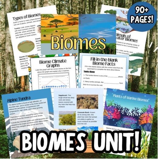 Biomes for Kids: Worksheets & Fun Activities