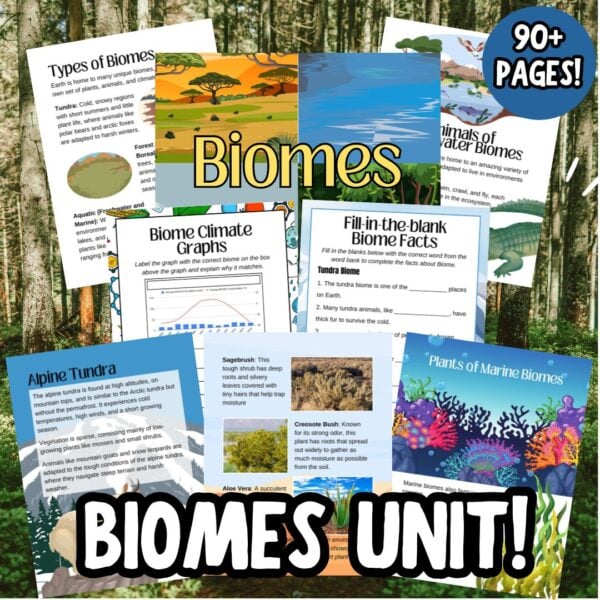 Biomes for Kids: Worksheets & Fun Activities