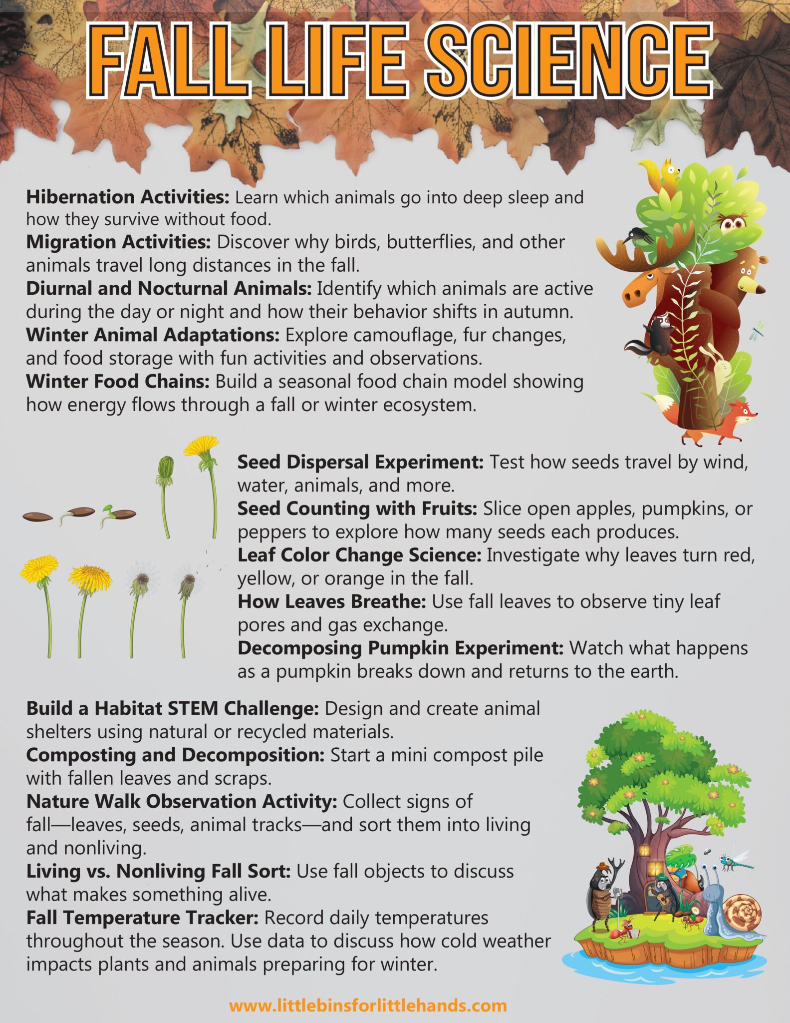 Fall Life Science Activities for Kids | Fun Biology Projects