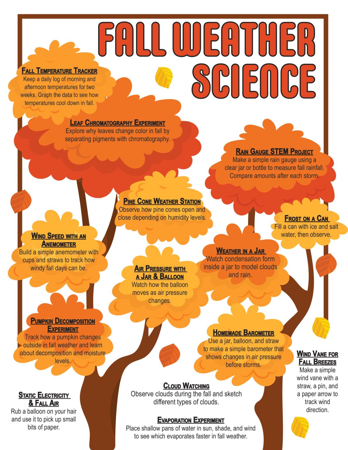 Fall Weather Science Projects for Kids | Hands-On Experiments