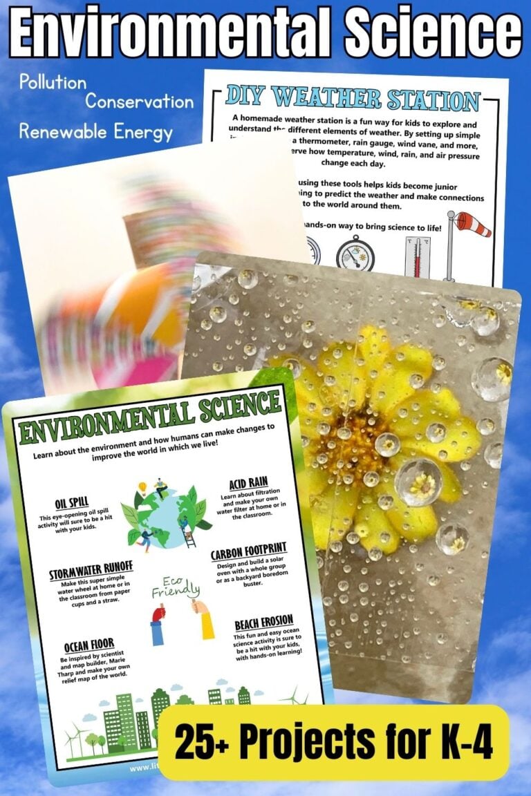 Environmental Science Activities for Kids (K–4) + Easy Experiments