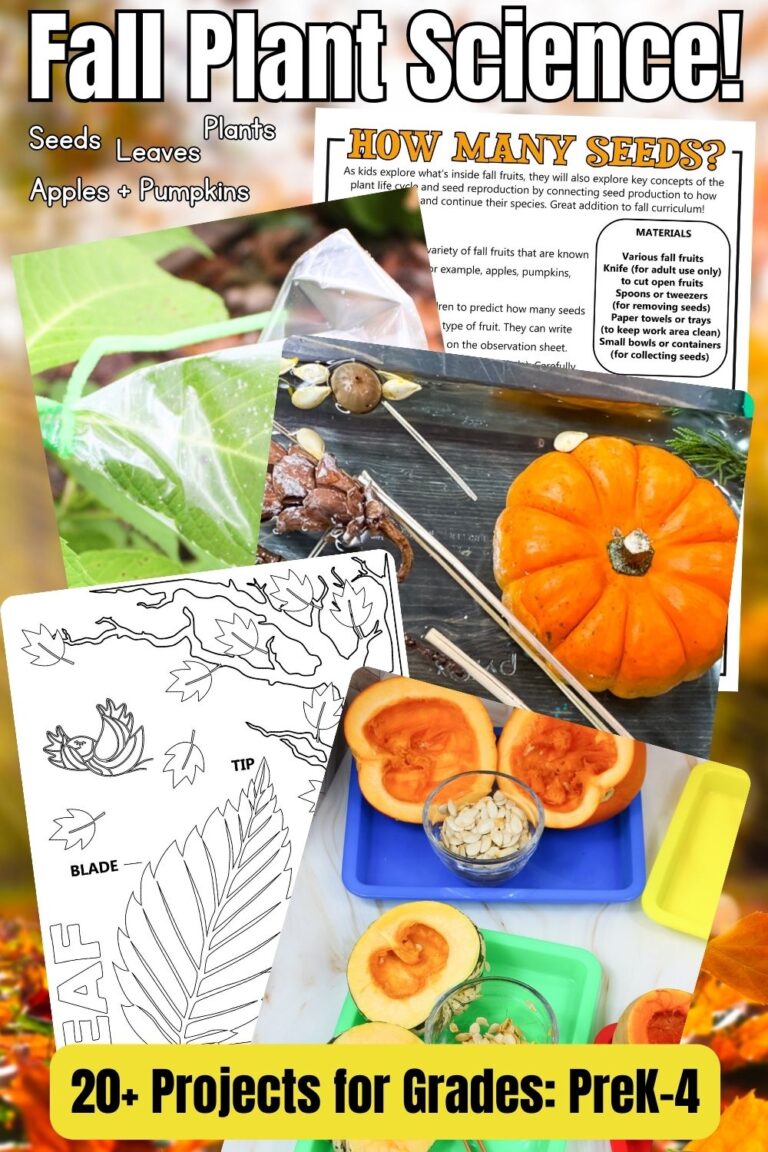 Fall Plant Science Activities and Experiments for Kids