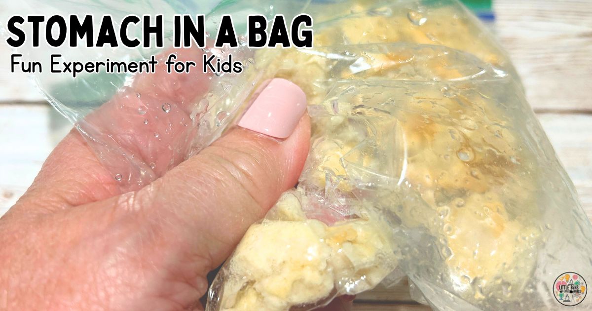 Stomach in a Bag | Easy Digestion Science Experiment for Kids