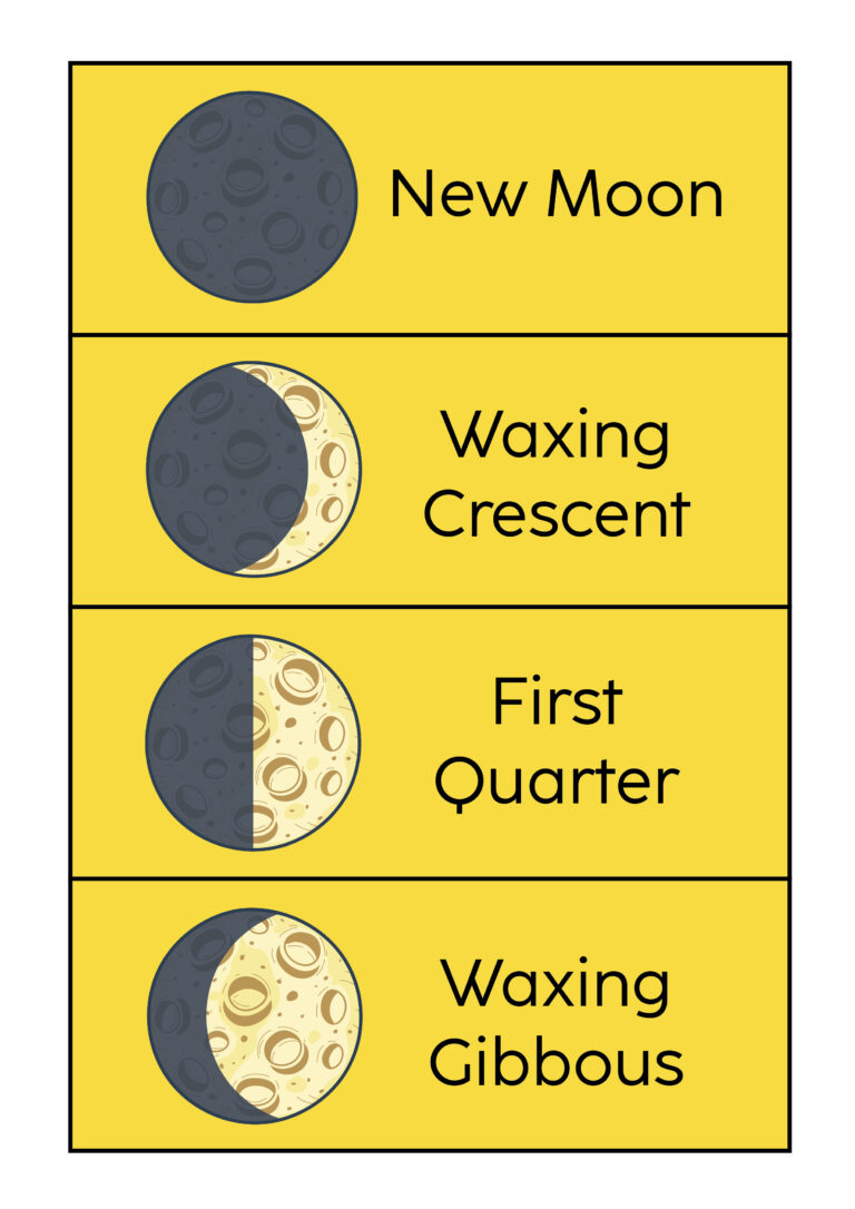 Moon Phases Fold-Out Book | Free Printable Moon Phases Activity