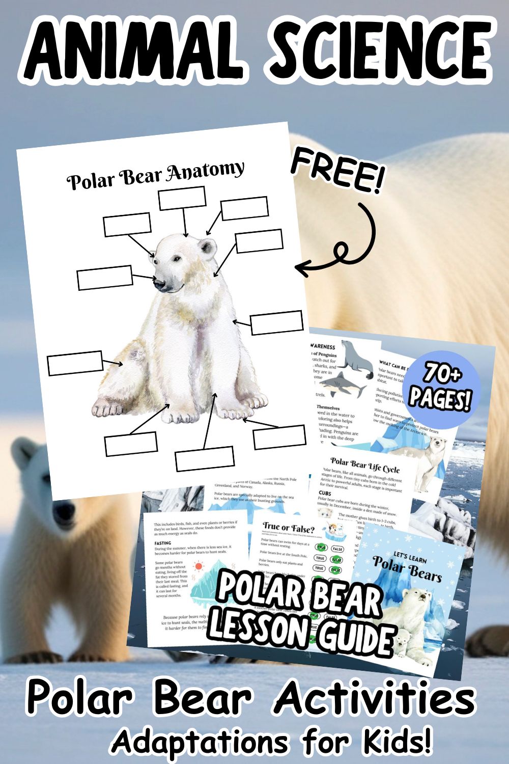 Polar Bear Adaptations for Kids (Blubber & Survival)