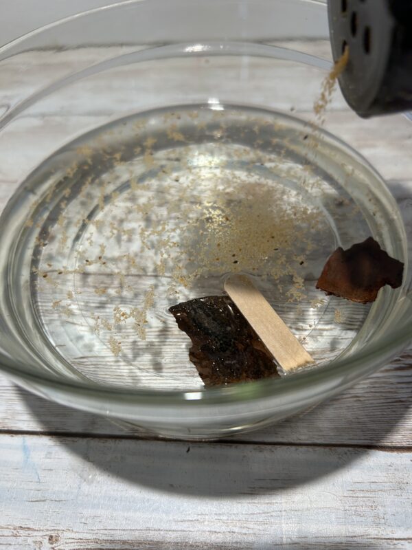 Water Pollution STEM Challenge for Kids (Cleanup Engineering Activity)