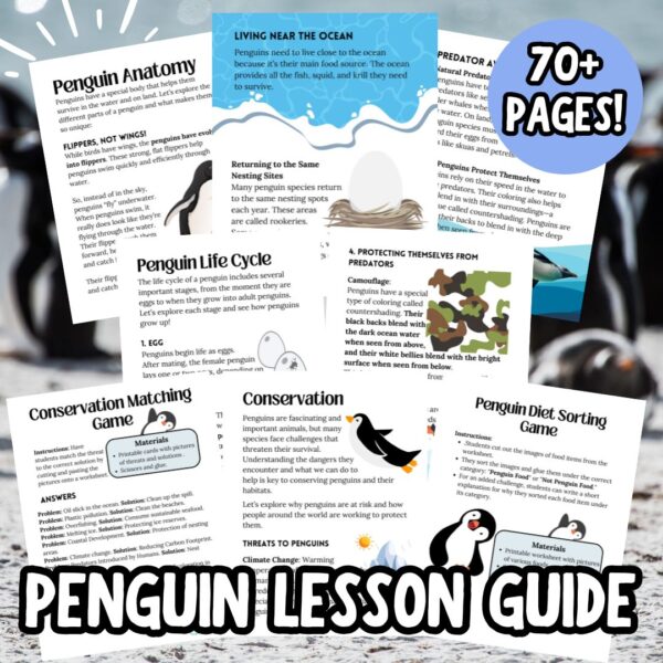 Penguin Activities for Kids (Facts, Life Cycle & Adaptations) - Little ...