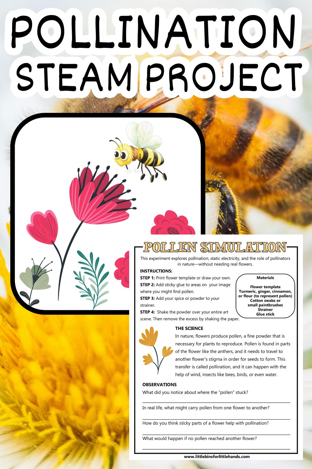 Pollination Experiment for Kids (Easy Flower STEM Activity)