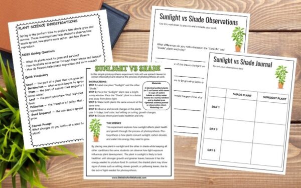 Spring Science Activities for Kids (Ready-to-Use Lessons & Printables)