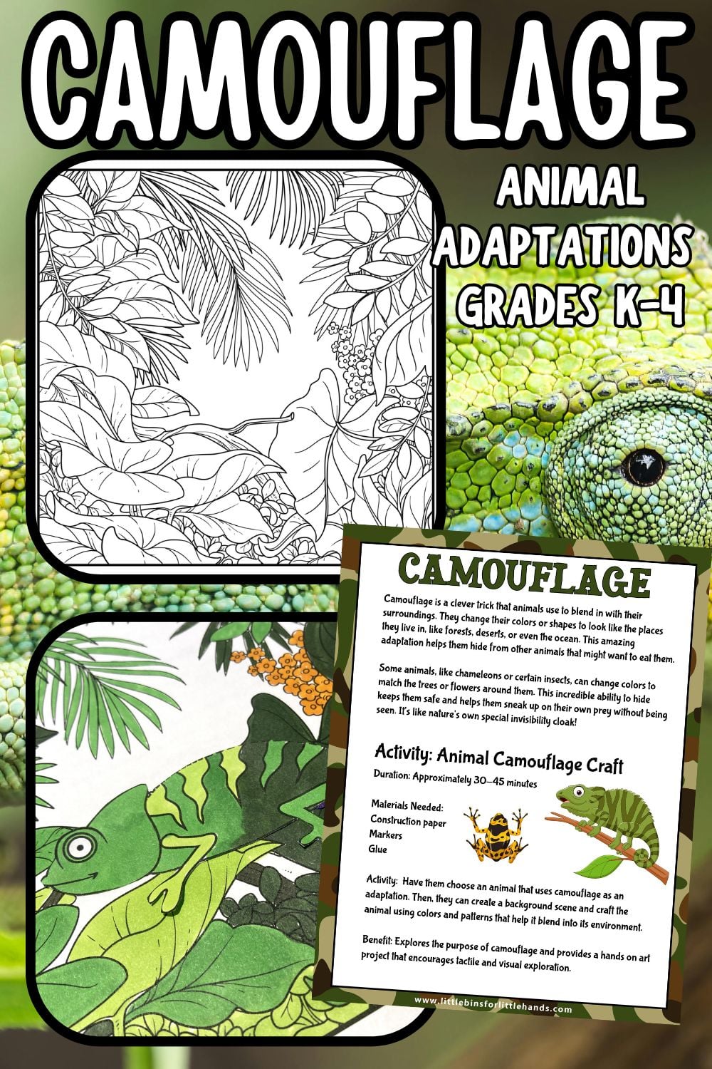 Animal Camouflage Activity for Kids (Easy Adaptation Craft)