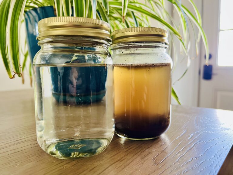 Dirty Water Experiment for Kids (Easy Water Pollution Activity)