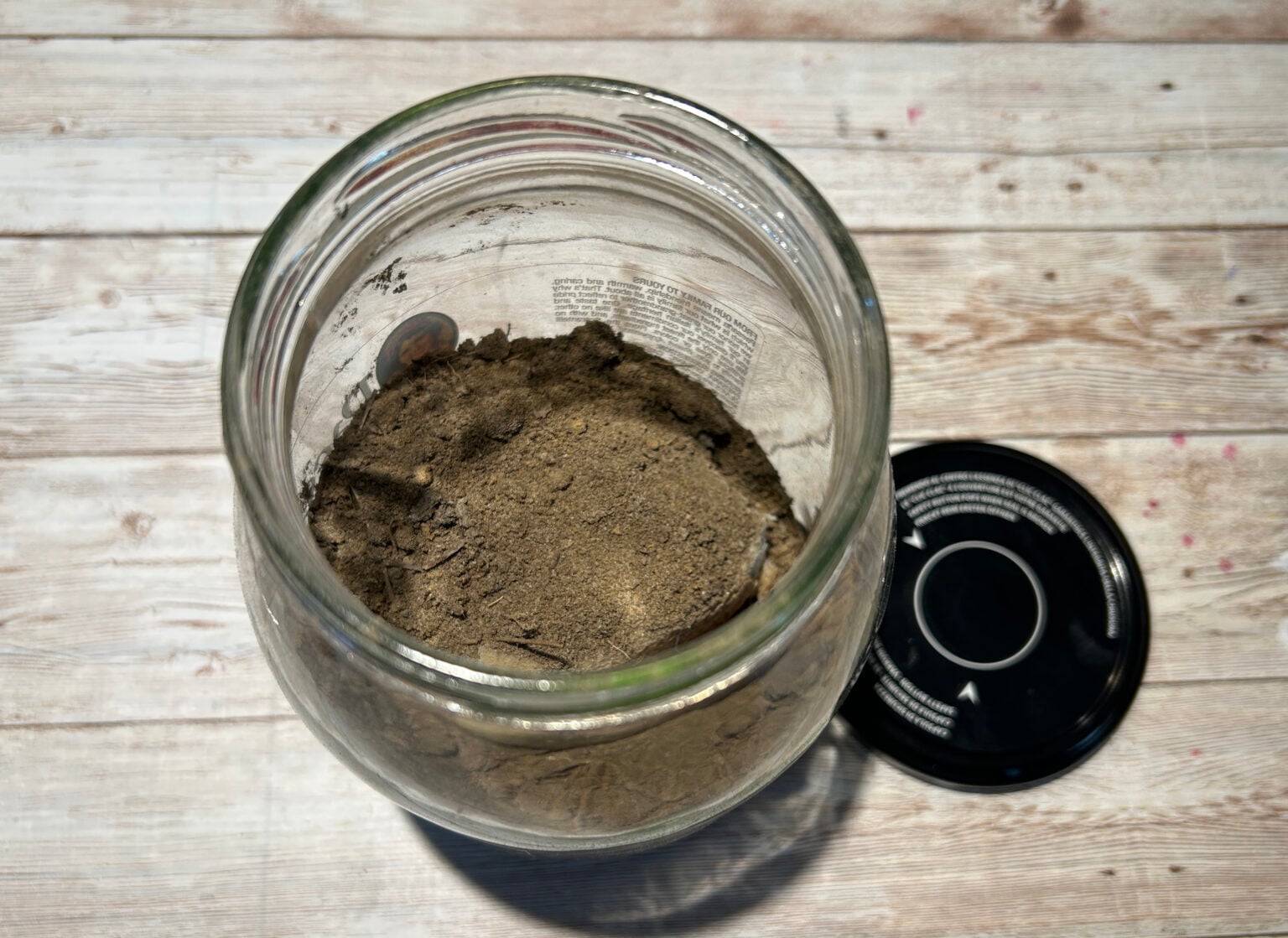 Decomposition Experiment for Kids (Free Lab Activity)