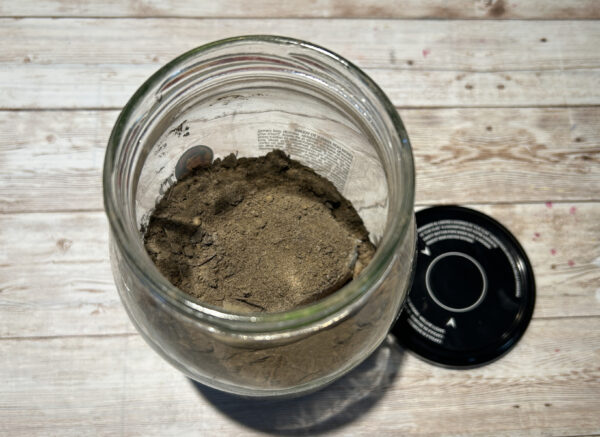 Decomposition Experiment for Kids (Free Lab Activity)
