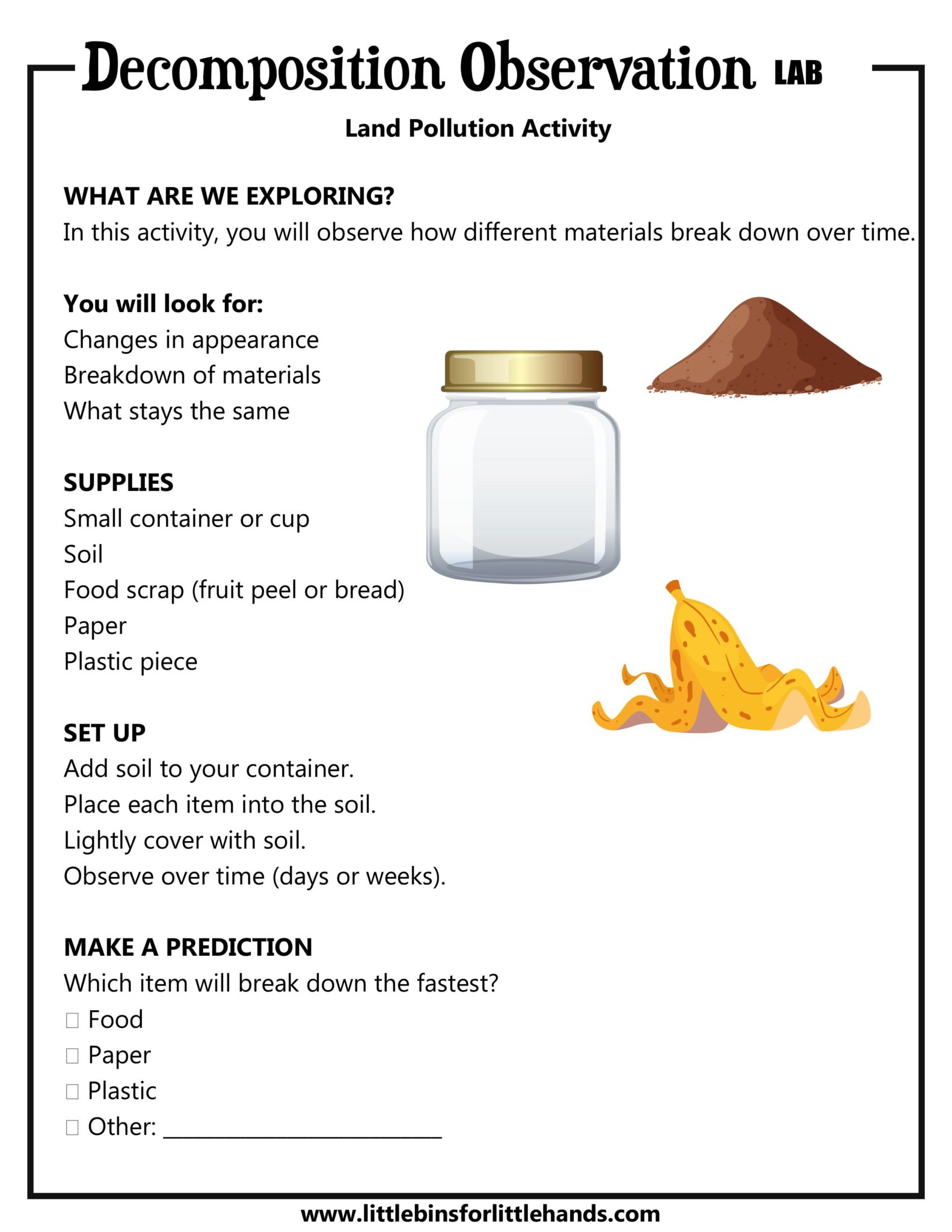 Decomposition Experiment for Kids (Free Lab Activity)