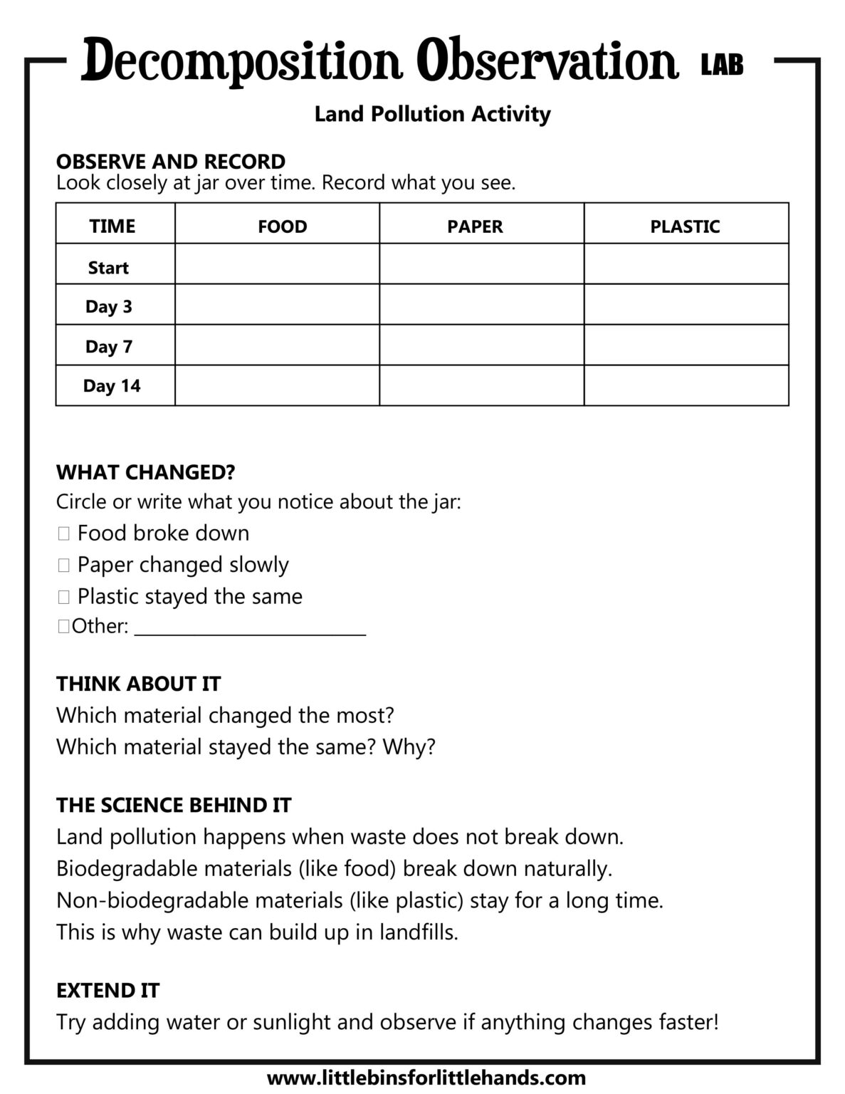 Decomposition Experiment for Kids (Free Lab Activity)