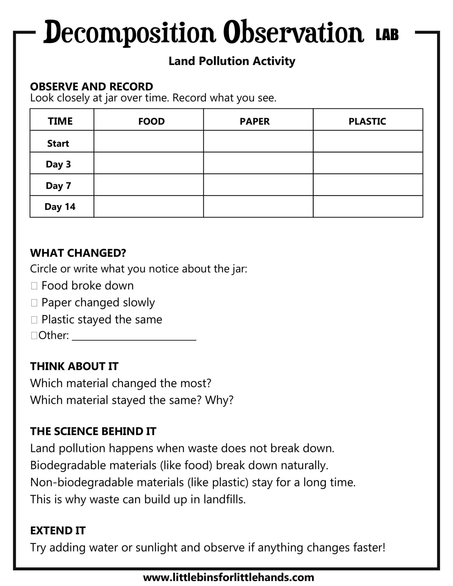 Decomposition Experiment for Kids (Free Lab Activity)