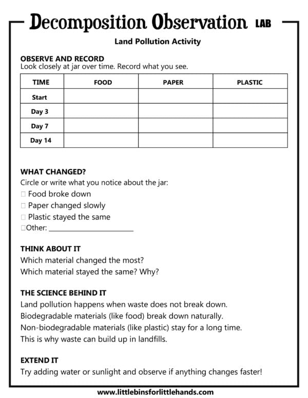 Decomposition Experiment for Kids (Free Lab Activity)