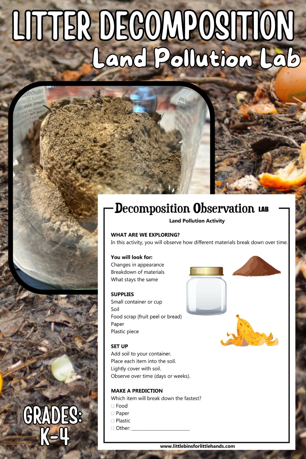 Decomposition Experiment for Kids (Free Lab Activity)
