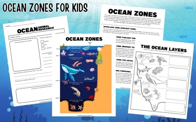 Ocean Zones for Kids + Free Printable Pack